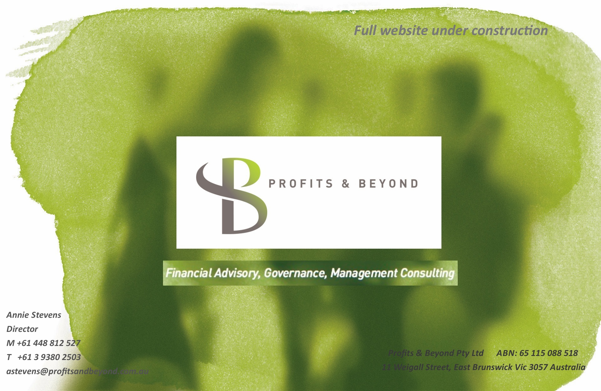 Profits and Beyond